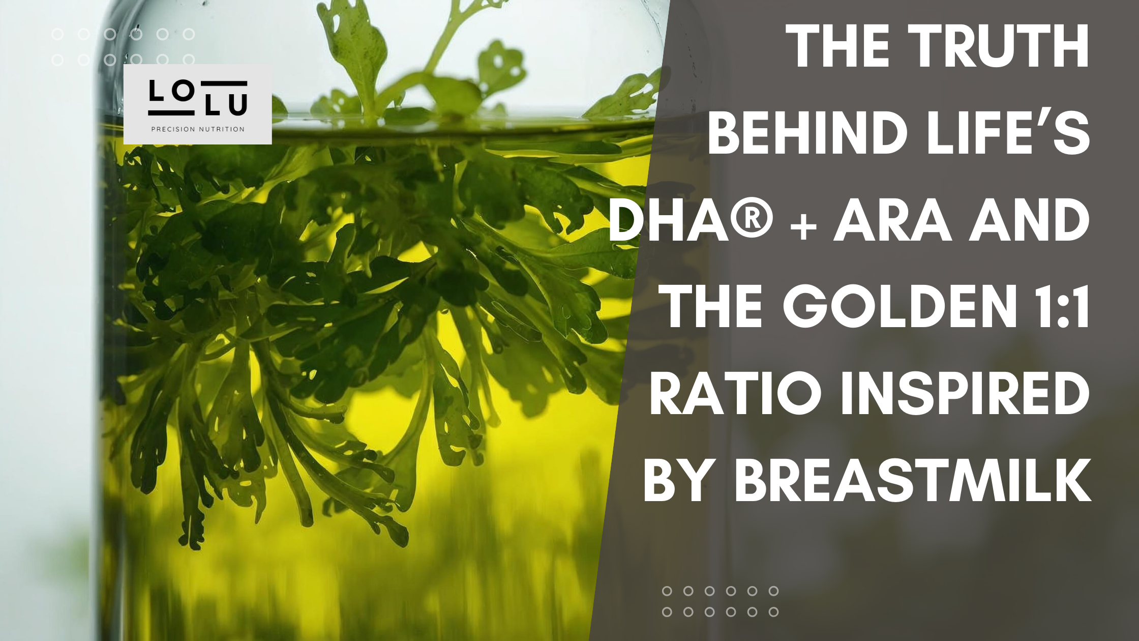 Not All Algal Oil Is Created Equal: The Truth Behind Life’sDHA® + ARA – LOLU™ HEALTH